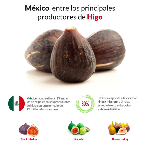 México espera un crecimiento entre 40 y el 50 por ciento en la ...