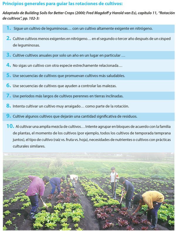 Rotación de cultivos en sistemas de agricultura ecológica - Cultura ...